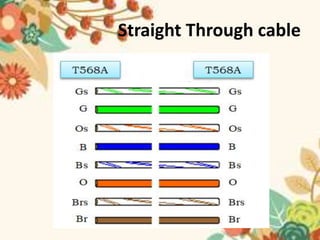 network cable p2.pptx