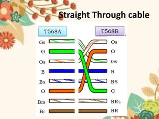 network cable p2.pptx