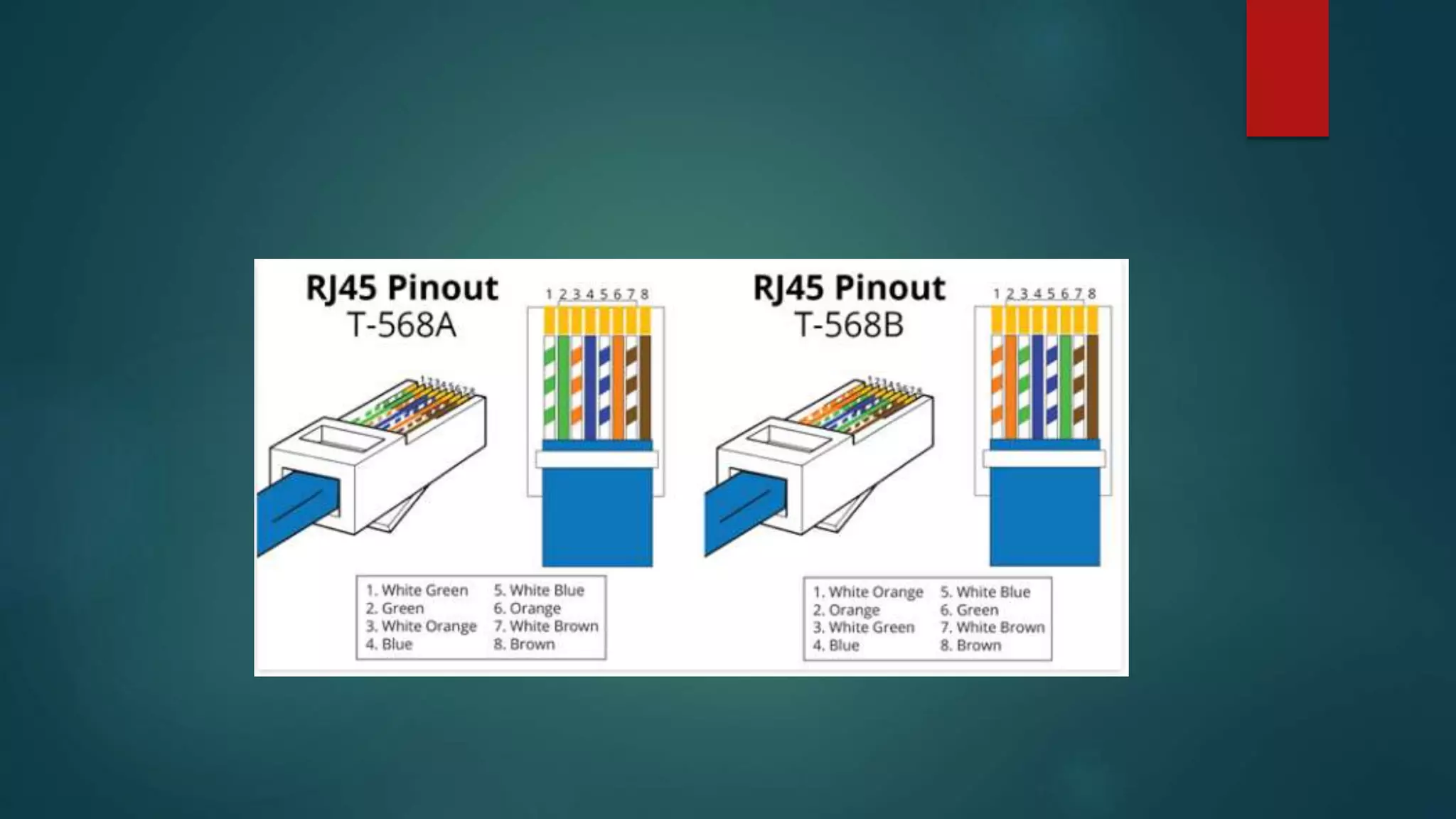 Network Cabling.pptx