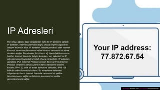 Network Devices.pptx