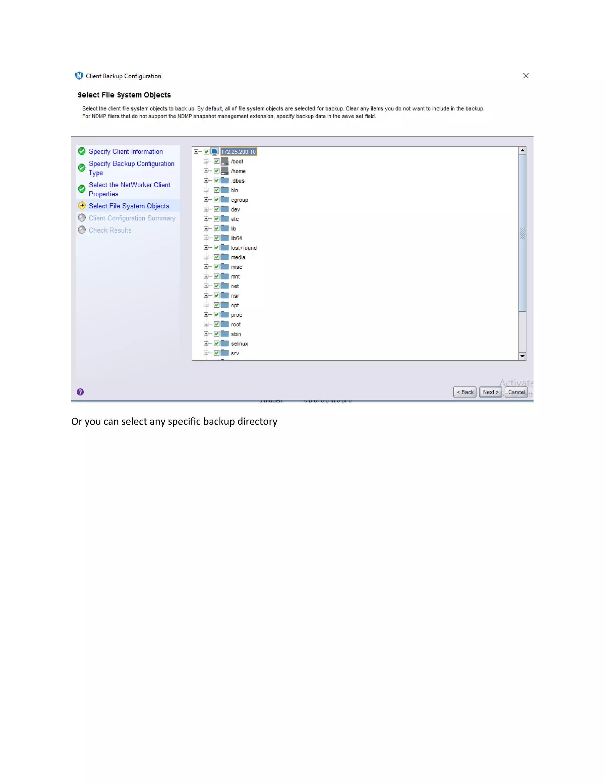 EMC Networker installation Document | DOC