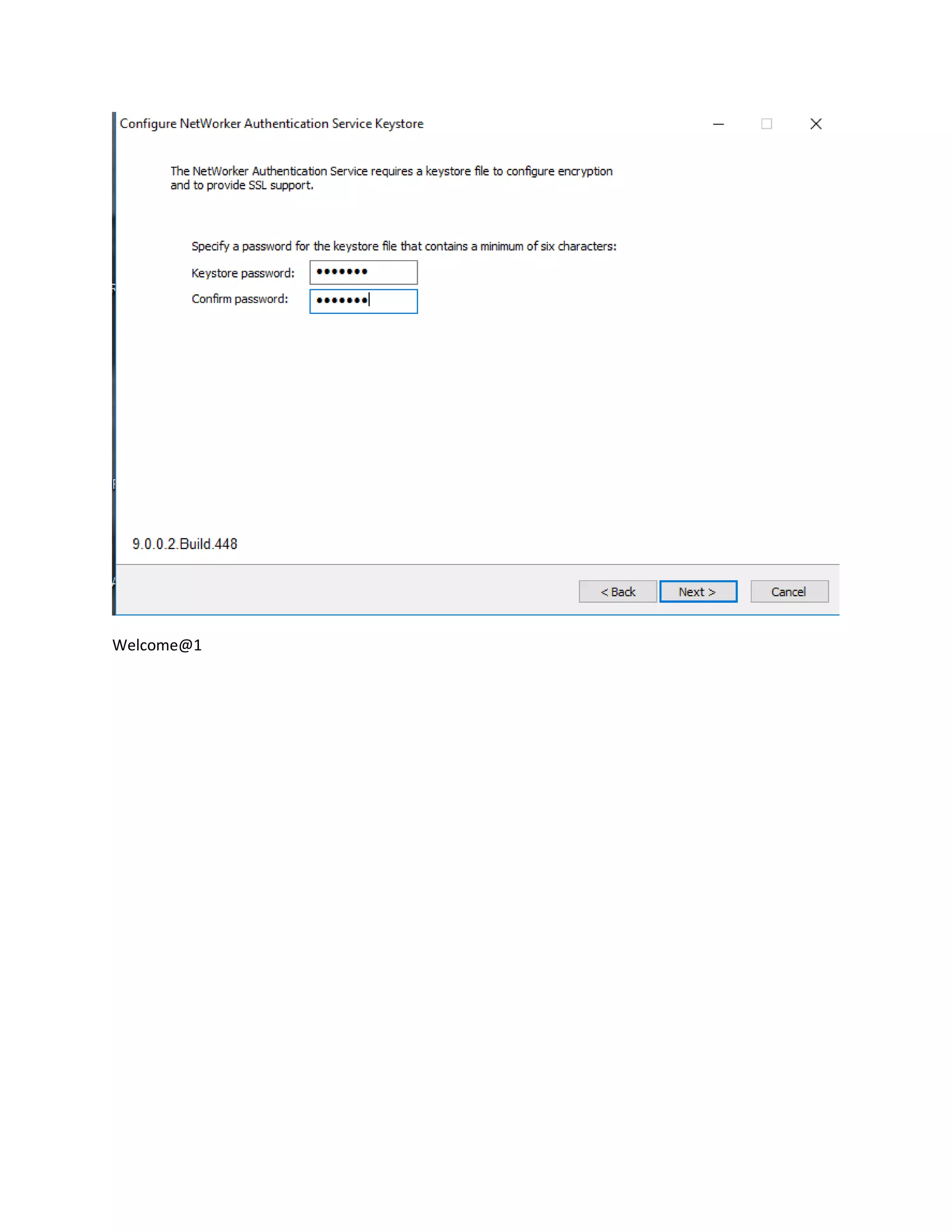 EMC Networker installation Document | DOC