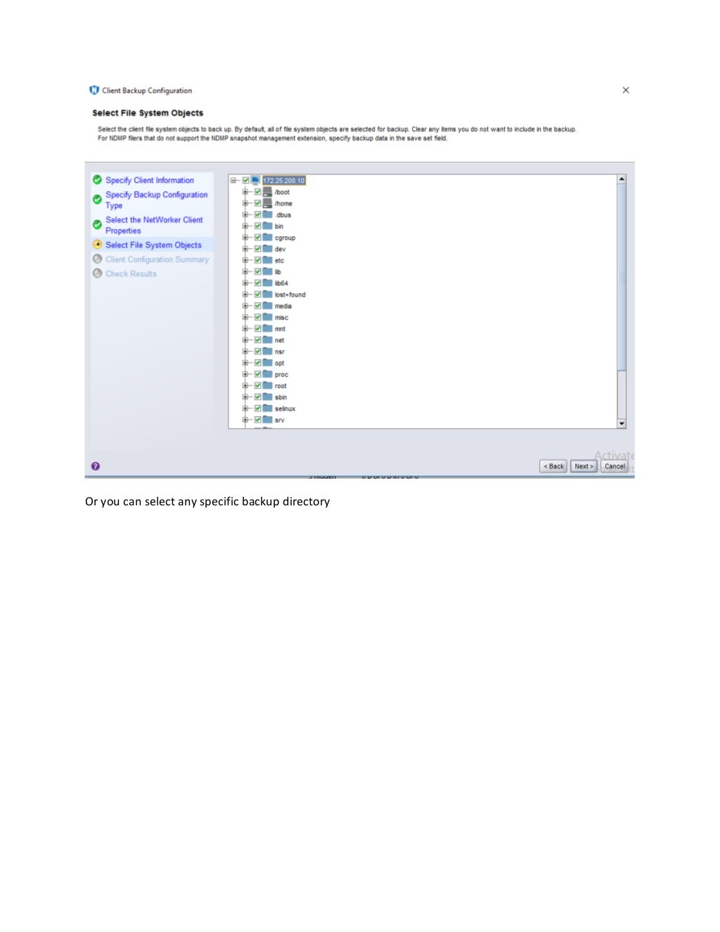 EMC Networker installation Document