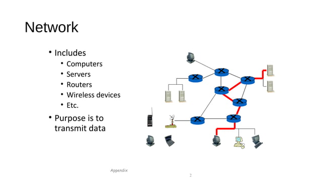 Networking basics PPT | PPT | Email | Internet