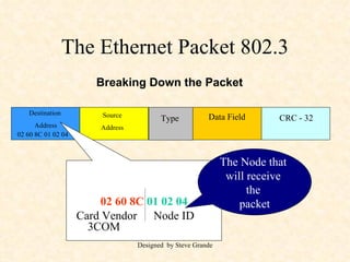 Networking Ethernet | PPT | Computer Networking | Computing