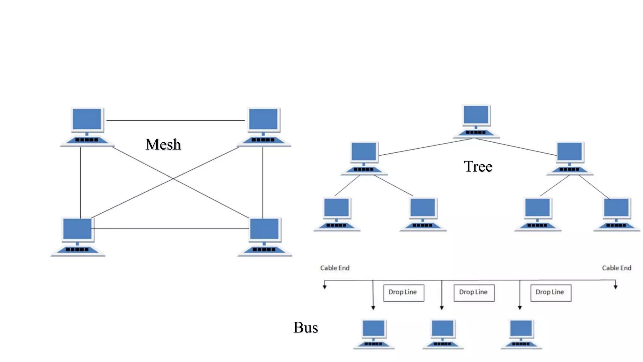 Networking basics | PPTX