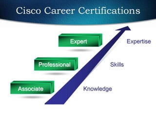 Networking basics Tutorial 1 | PPTX | Internet for Beginners | Internet