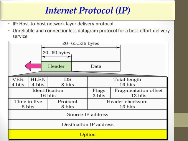 Network layer logical addressing | PDF | Computer Networking | Computing
