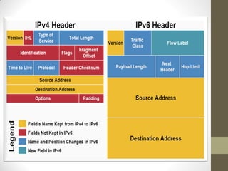 Network layer logical addressing | PDF