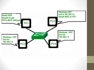 Network layer logical addressing | PDF