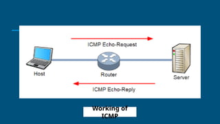 Main Protocols on the network layer of OSI model | PPTX