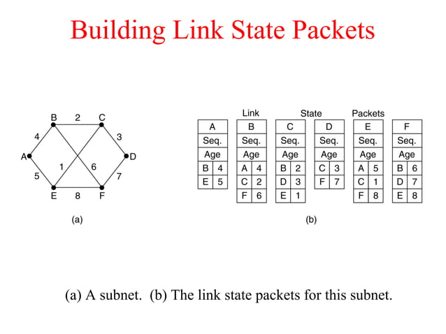 Network layer tanenbaum | PPT