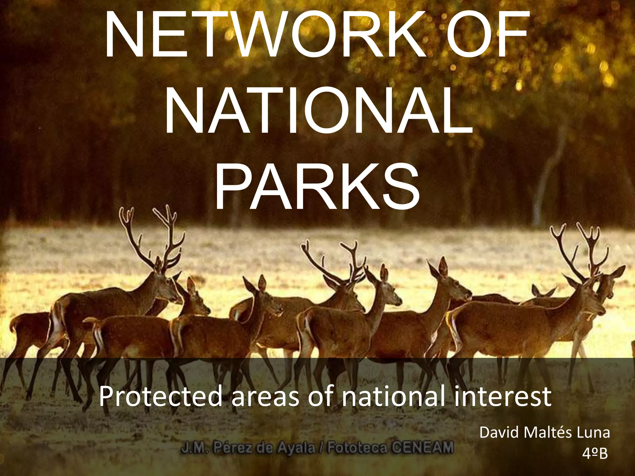 Network of national parks | PPTX