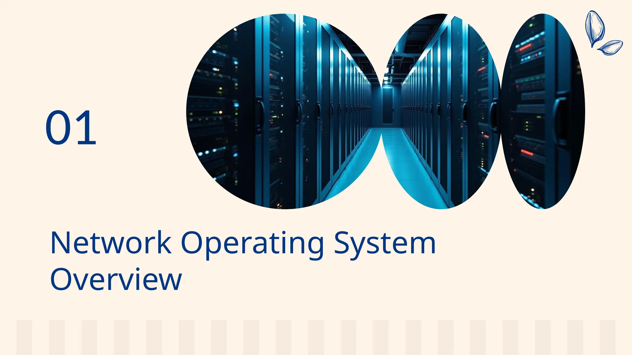 Network OS.pptx network operating system | PPTX