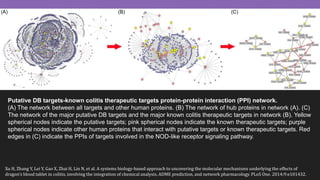 Network pharmacology_SNA Presentation [Recovered].pptx