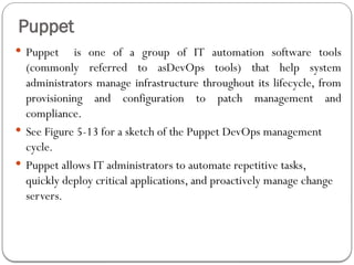 Network Programmability in Software Defined Networks.pptx