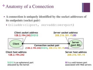 + Network Programming.pdf