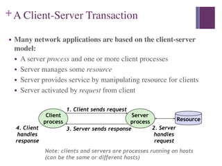 + Network Programming.pdf