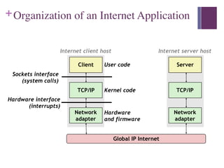 + Network Programming.pdf