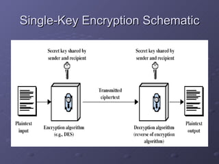 Network Security and Cryptography | PPT