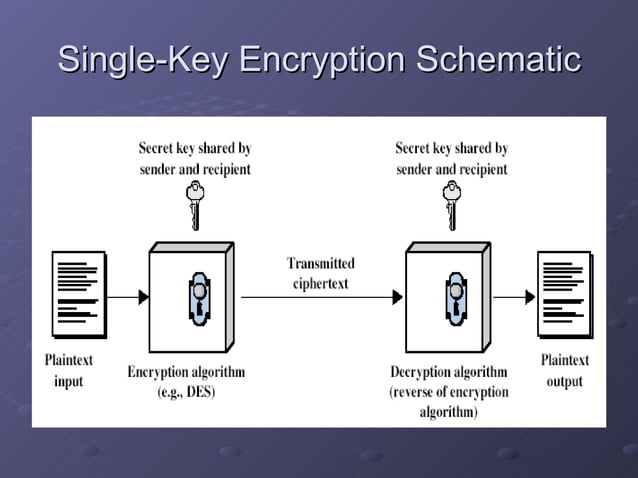 Network Security and Cryptography | PPT | Information and Network Security | Computing