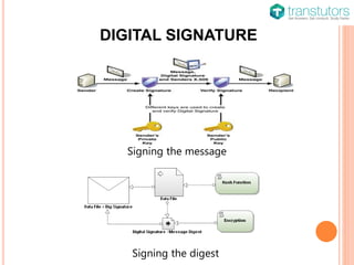 Network Security | Computer Science | PPTX | Information and Network ...