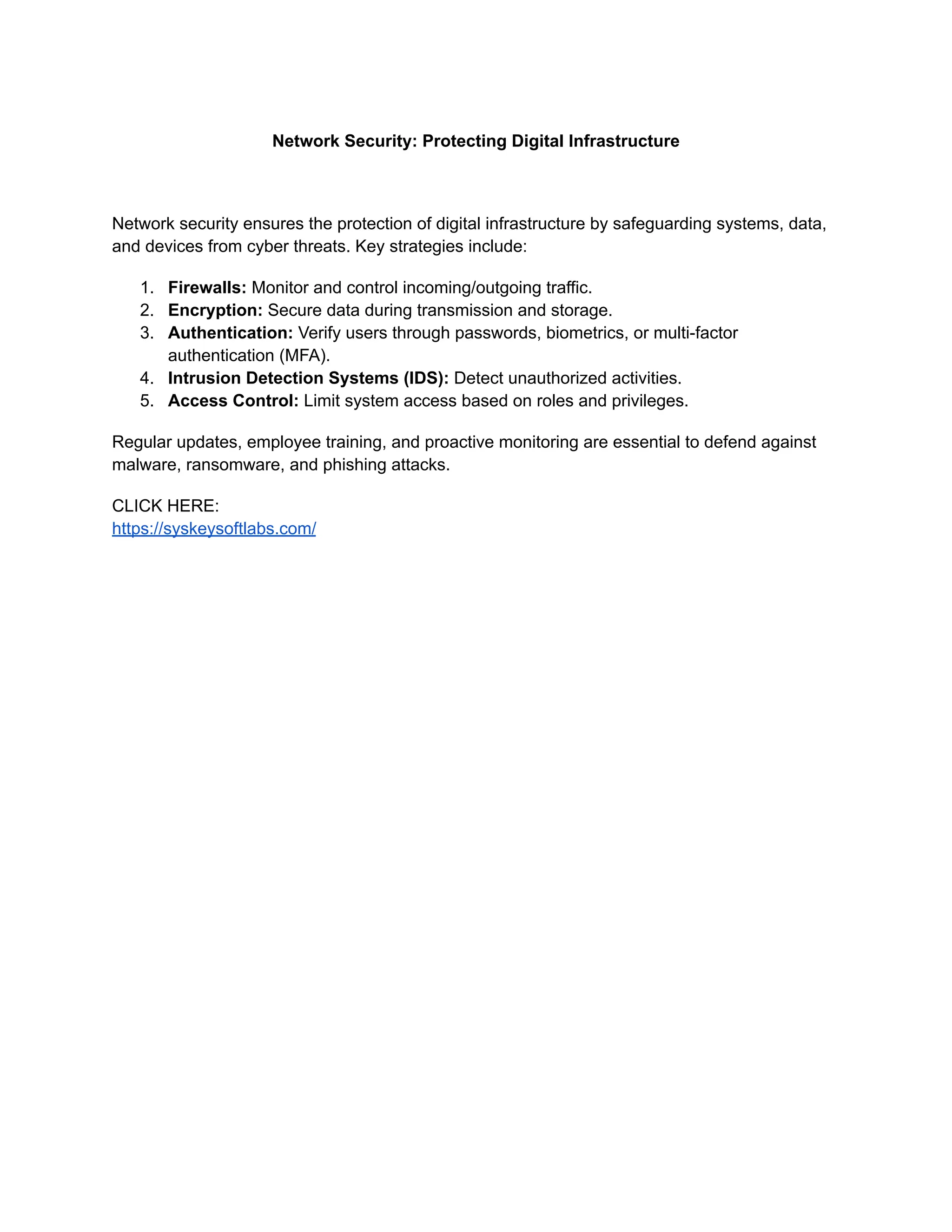 Network Security_ Protecting Digital Infrastructure.pdf