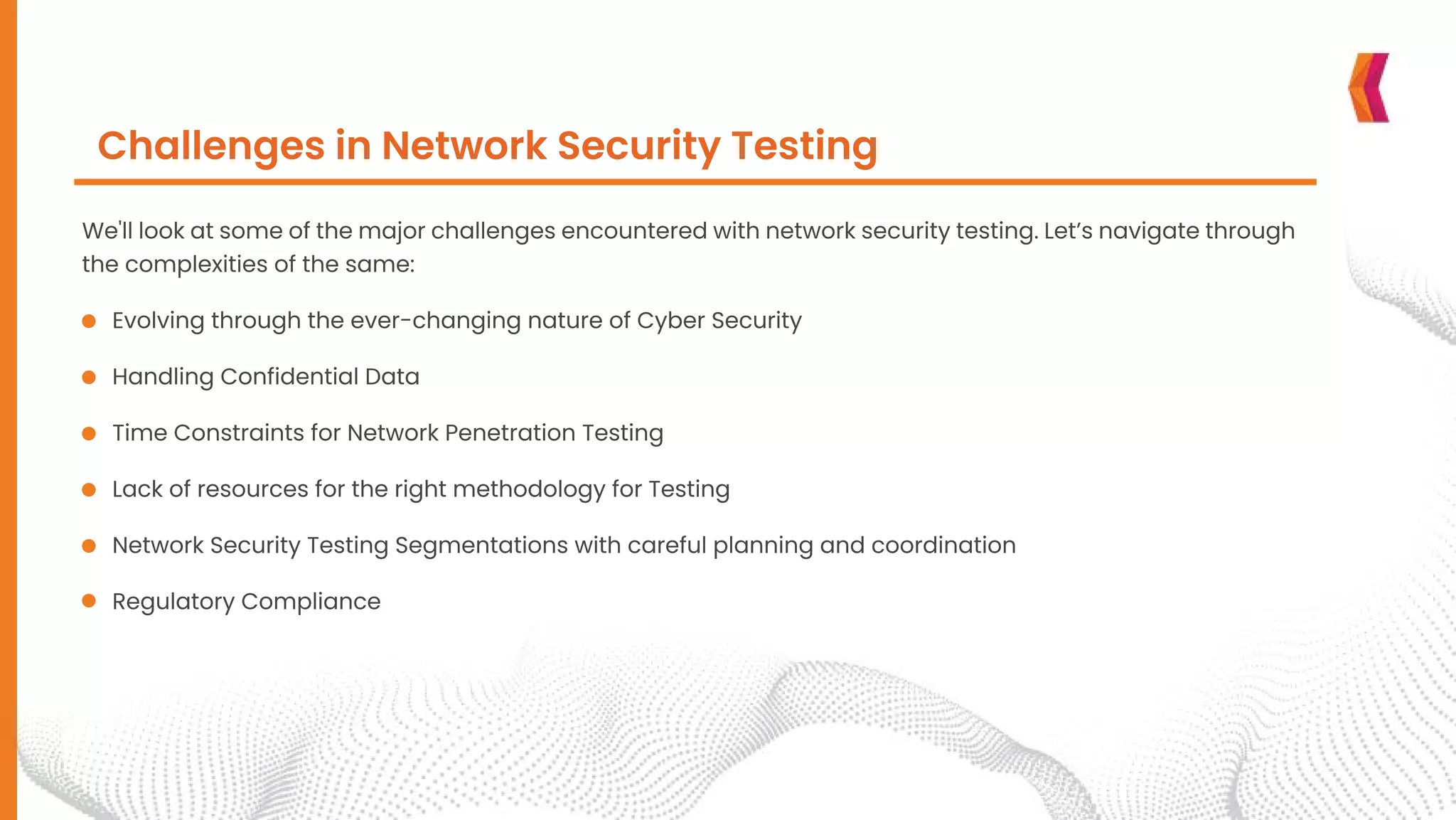 Network Security Testing Company.pdf