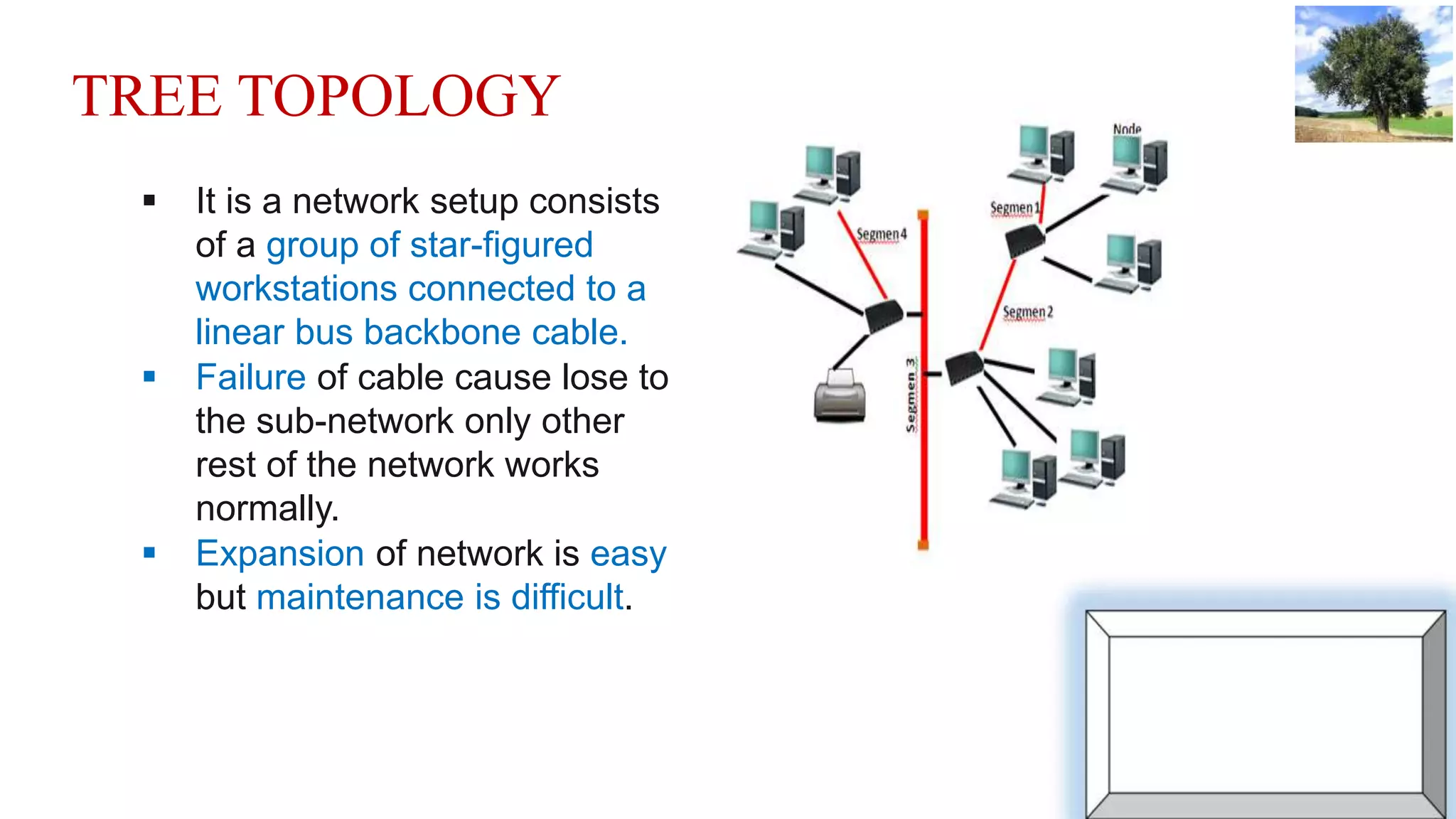 Network servers and TOPOLOGY | PPTX