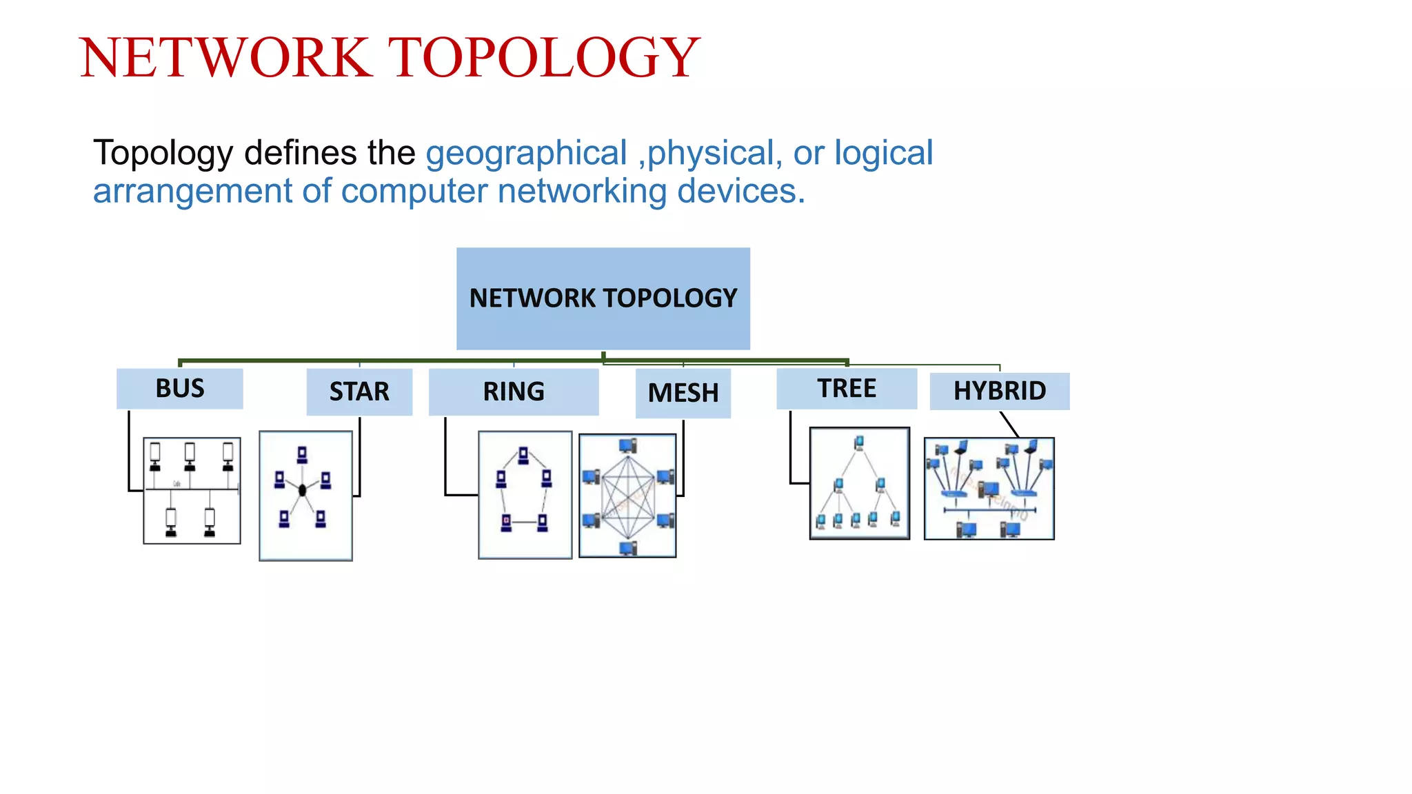 Network servers and TOPOLOGY | PPTX