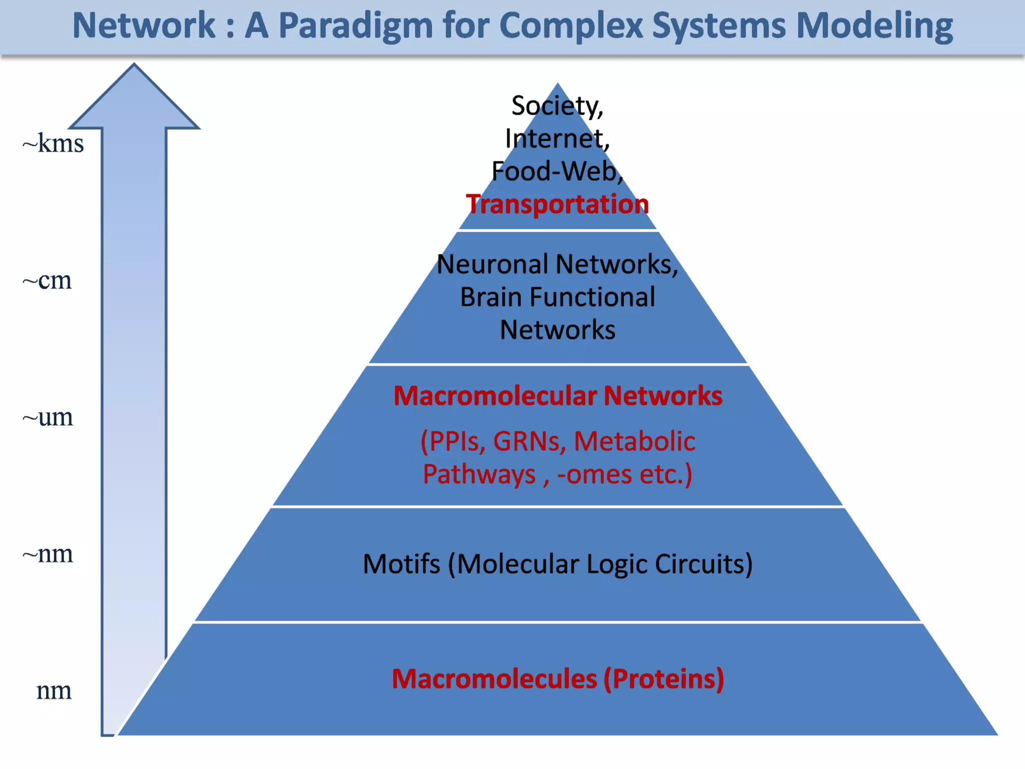 Network Biology: A paradigm for modeling biological complex systems | PDF