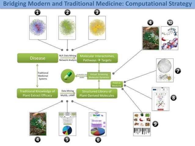 Network Biology: A paradigm for modeling biological complex systems ...