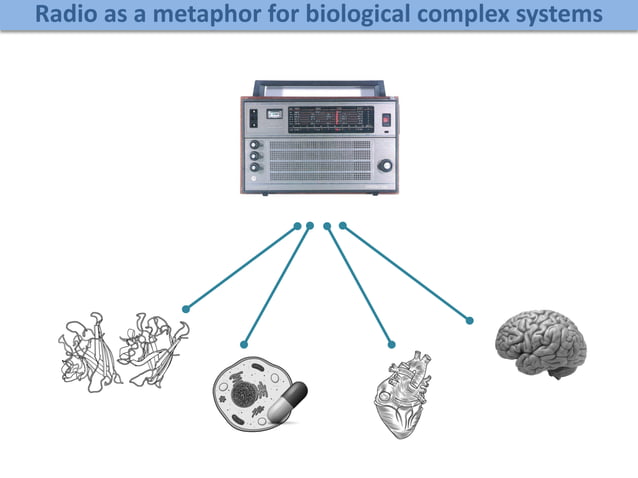 Network Biology: A paradigm for modeling biological complex systems | PDF | Databases | Computer ...