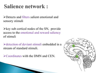 networks in psychiatry.pptx