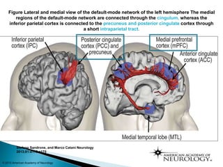 networks in psychiatry.pptx