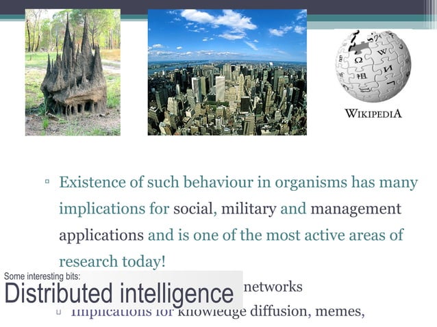 Network theory | PPT