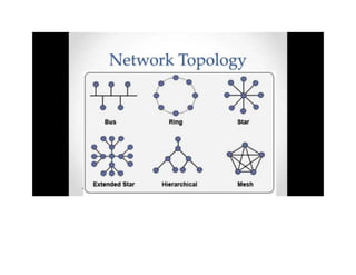 network top.docx