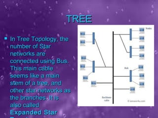 Classification of Networks & Network topologies | PPT