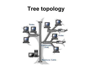 Network topologies | PPT