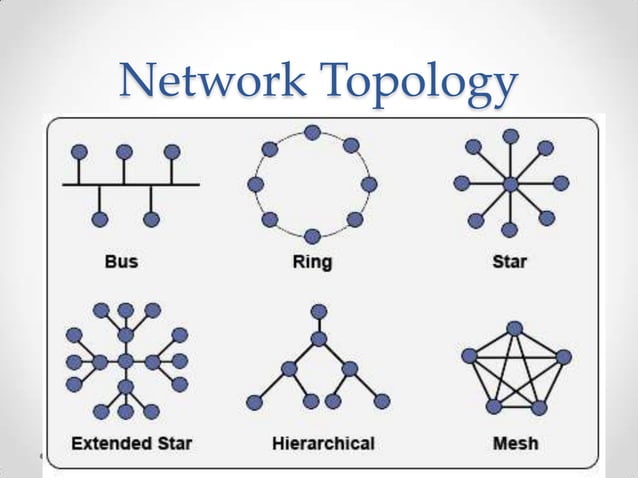 Network topology.ppt | Computer Networking | Computing