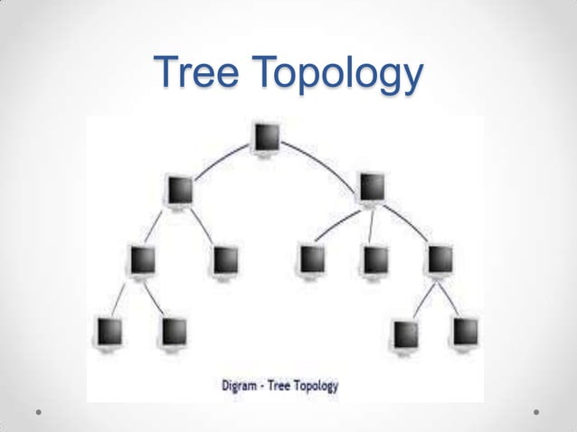 Network topology.ppt | Computer Networking | Computing