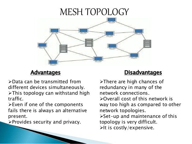 Network topology