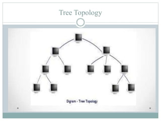 Network topology | PPT
