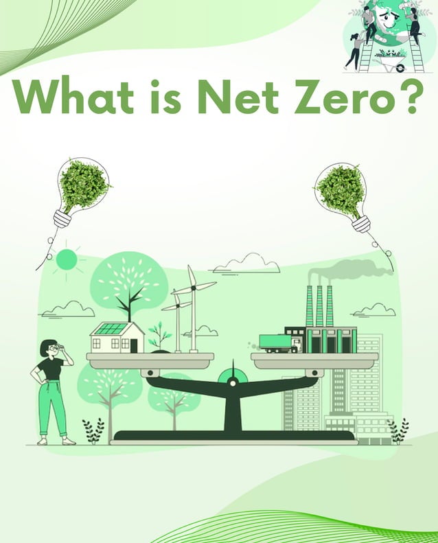 Net Zero.pdf