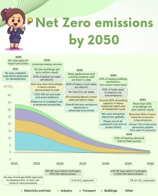 Net Zero.pdf
