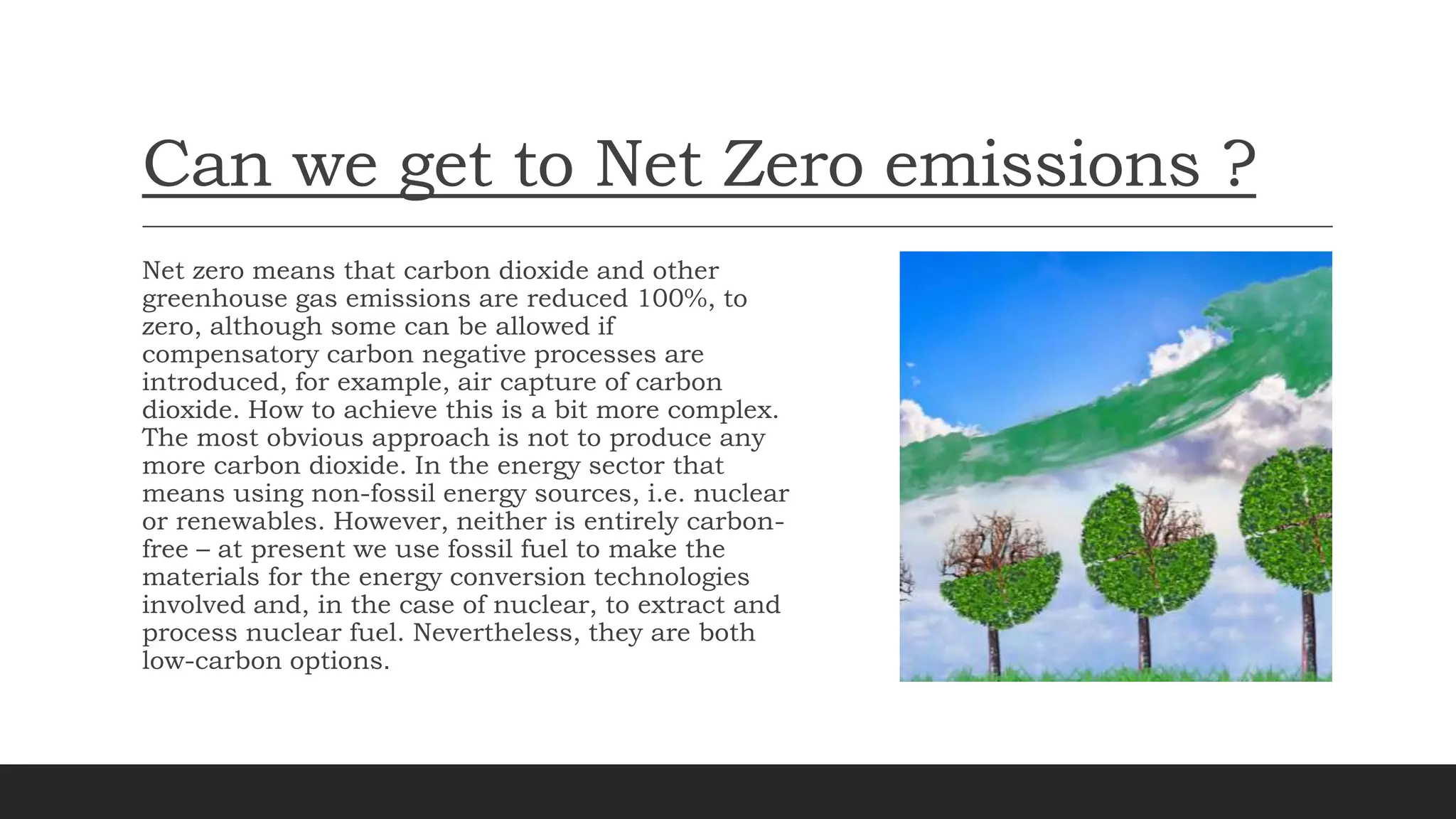 Net Zero.pptx