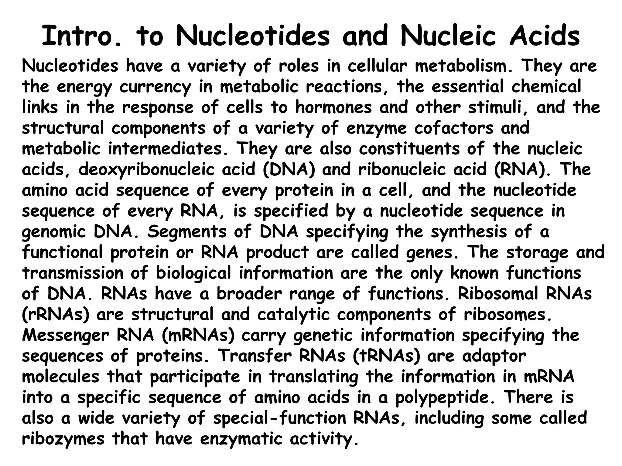 neucleic acids biosynthesis.ppt