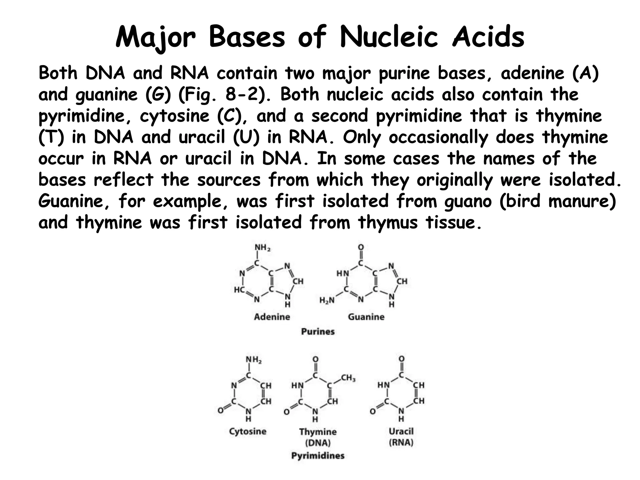 neucleic acids biosynthesis.ppt
