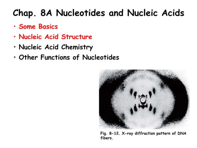 neucleic acids biosynthesis.ppt