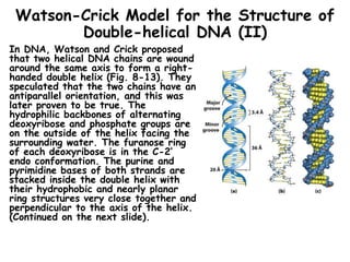 neucleic acids biosynthesis.ppt